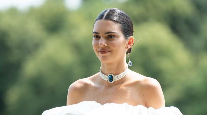 Kendall Jenner showcases her sculpted midriff in a chic black crop top