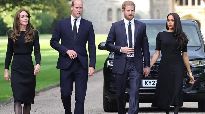 Meghan Markle, Prince Harry offer olive branch to Prince William?