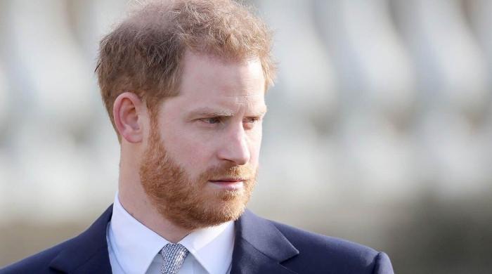 Japanese media praises Prince Harry