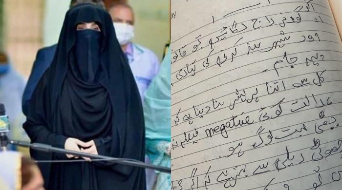 Bushra Bibi's 'personal diary' reveals her influence on Imran Khan’s ...