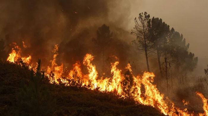 Urgent evacuations ordered as wildfire threatens Athol, Idaho