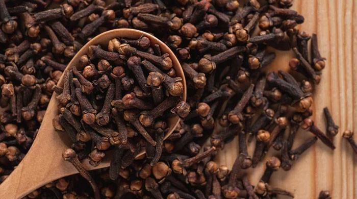 Clove supplements: Unveiling health wonders from kitchen to wellness