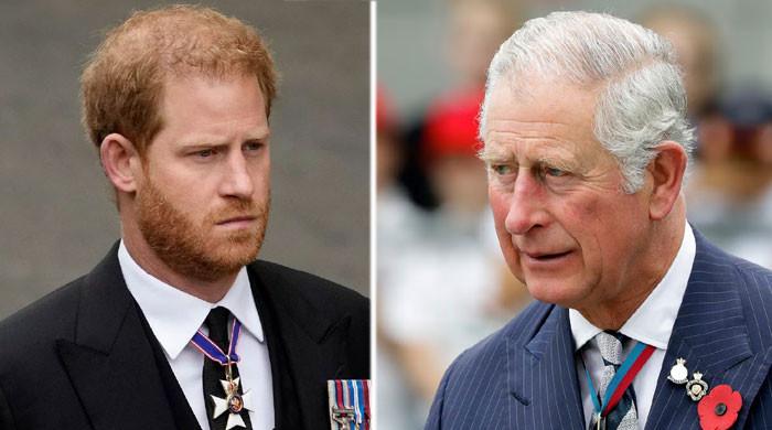 Prince Harry hits King Charles with shocking allegation: 'Such a bad dad'