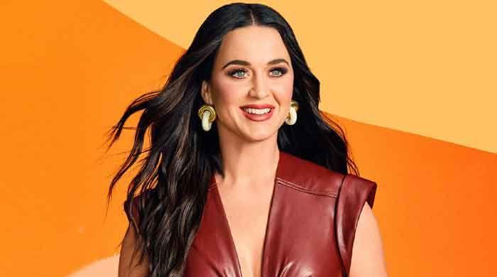 Katy Perry stuns Instagram with bold restroom snap as she teases ...