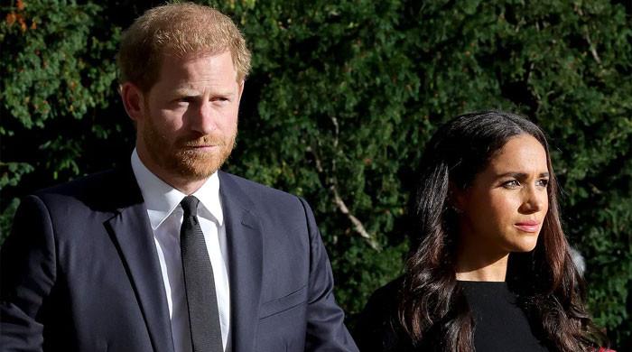 Meghan Markle intentionally sparked Prince Harry divorce rumours?