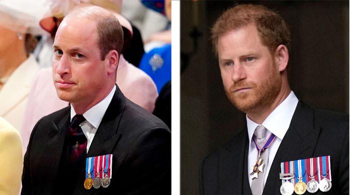 Prince Harry’s a ‘walking, talking famous figure’ of family dysfunction