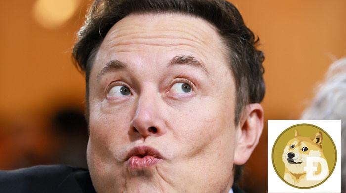 CryptoX: Elon Musk's upcoming biography digs how deep he is into Dogecoin