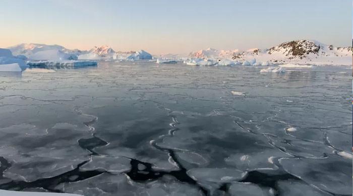 How alarmingly low sea-ice in 'resilient' Antarctica is turning earth's ...