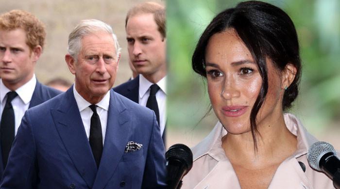 Meghan Markle 'calculated' her 'vicious' actions to create Prince Harry ...