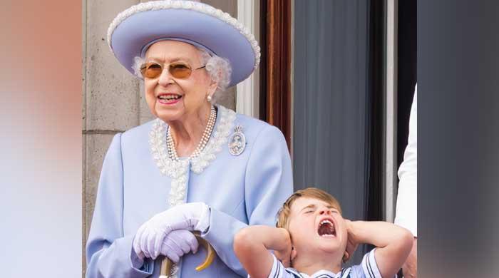 Man who wanted to kill Queen Elizabeth sentenced to nine years in prison