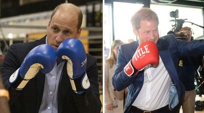 Prince William vs. Prince Harry: Who would win a boxing fight? AI answers
