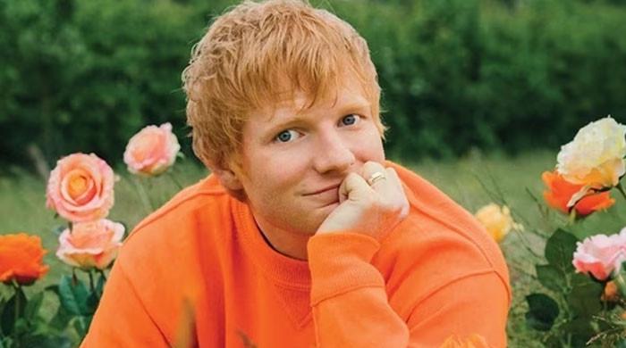 Ed Sheeran builds a shocking thing on his lawn