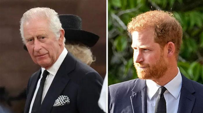 King Charles is scared to ‘stir the pot’ with Prince Harry