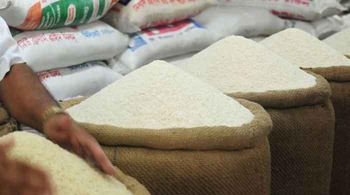 Indian exporters fear Pakistan could seize control of basmati rice market