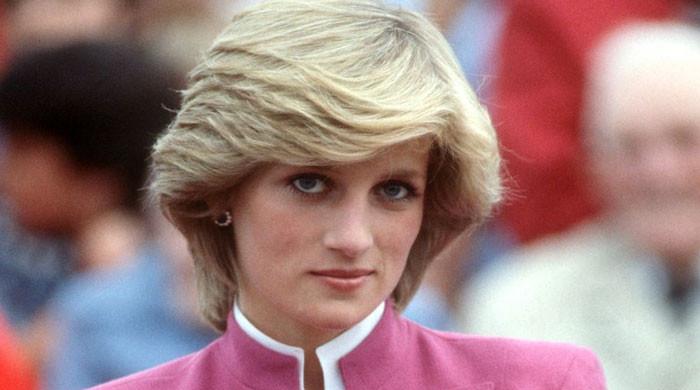 Princess Diana 'reincarnated' as four year old boy in shocking confession