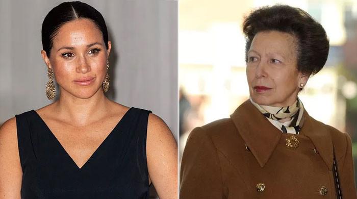 Princess Anne ‘knew’ Meghan Markle has ‘short shelf life’