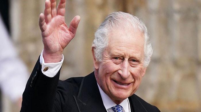 King Charles to find new 'potent' brand to fit family monarchy