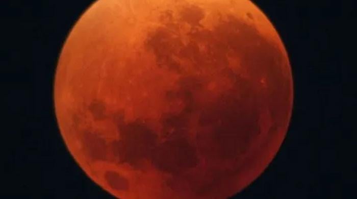 What is Beaver Moon? Here is how you can see it