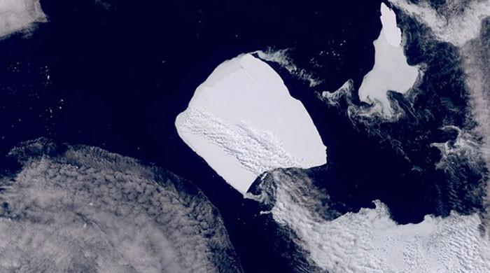 A23a: World's largest iceberg nears trillion-ton mark, with over 280 ...