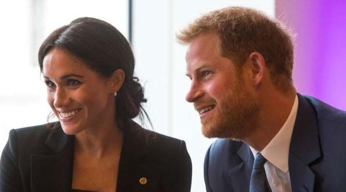 Will 2024 be Prince Harry, Meghan Markle's year?