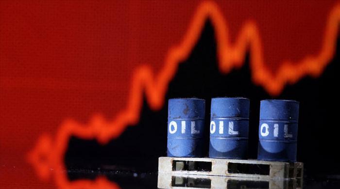 Strikes on Houthis: What does 4% jump in oil mean for petrol prices ...