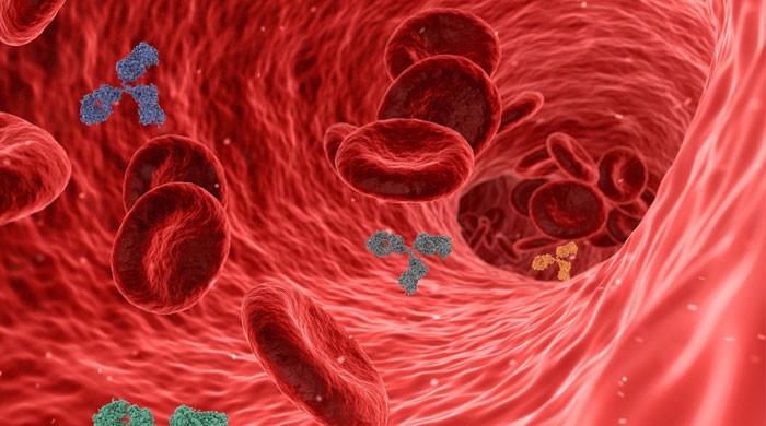 Interesting Facts about 0 Blood Types that Everyone Should Know About
