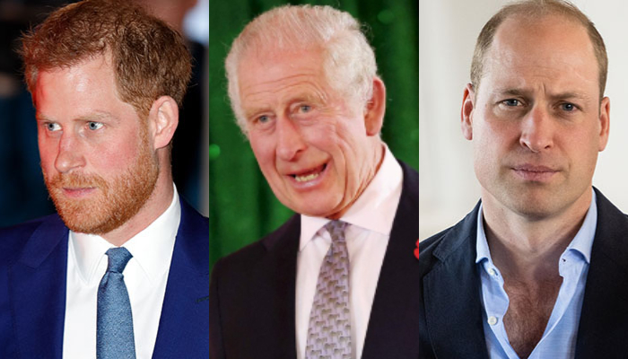 Prince Harry BRUTALLY snubbed by King Charles, Prince William after queen's death