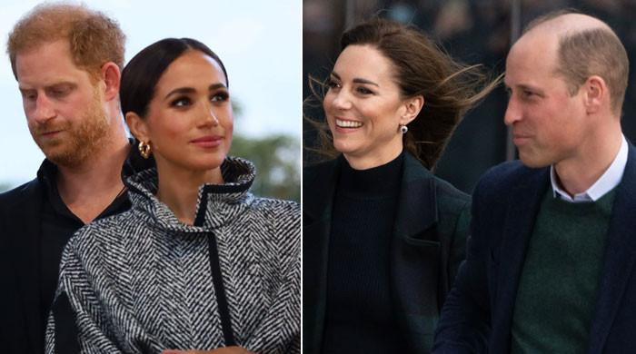 Prince Harry, Meghan Markle ‘completely lack' William, Kate Middleton's spark