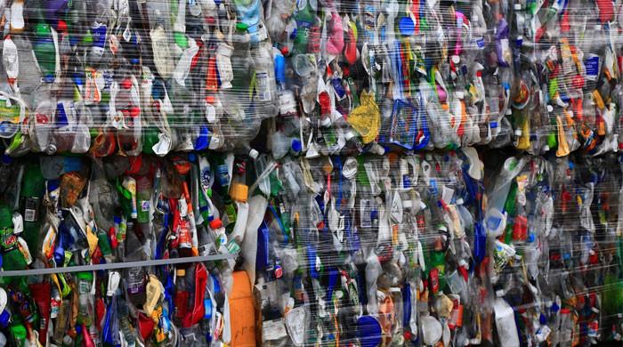 Microplastics in food: What they are and how to avoid them