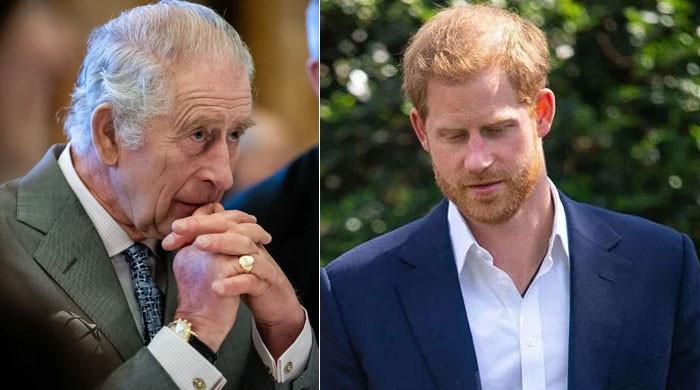Prince Harry's shameless to try commercializing King Charles