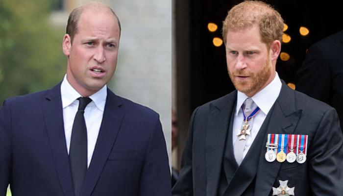 Prince William takes firm stand against Prince Harry's return to monarchy