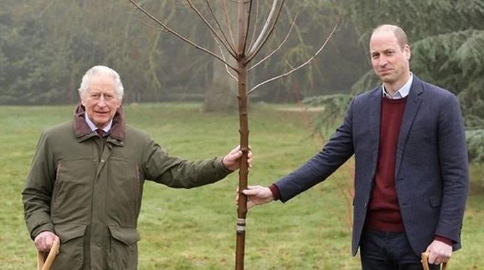 King Charles, Prince William relationship moved to 'different level'