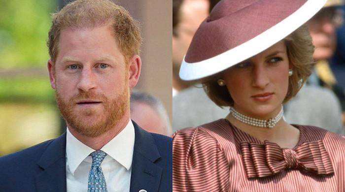 Prince Harry called out for thinking he's 'in a greater risk' than ...