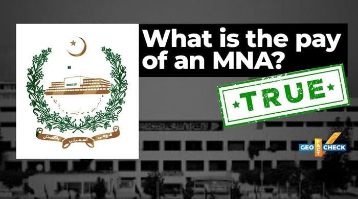 Fact-check: How much will the new MNAs get paid?