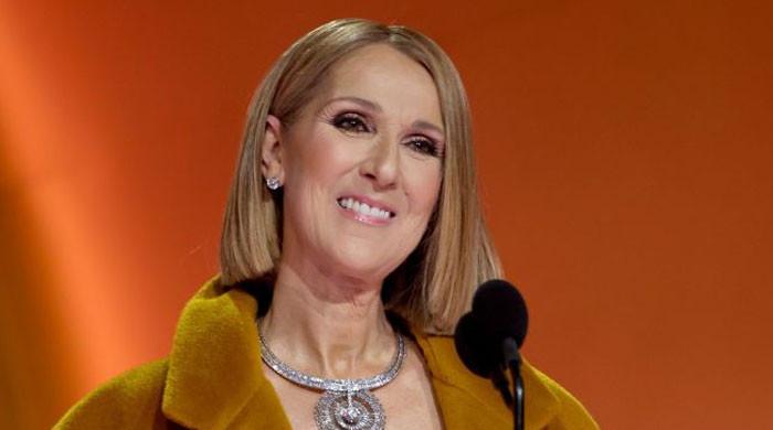 Celine Dion Poses