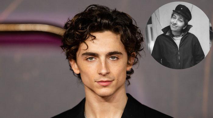 Timothée Chalamet's Bob Dylan transformation leaves fans astounded