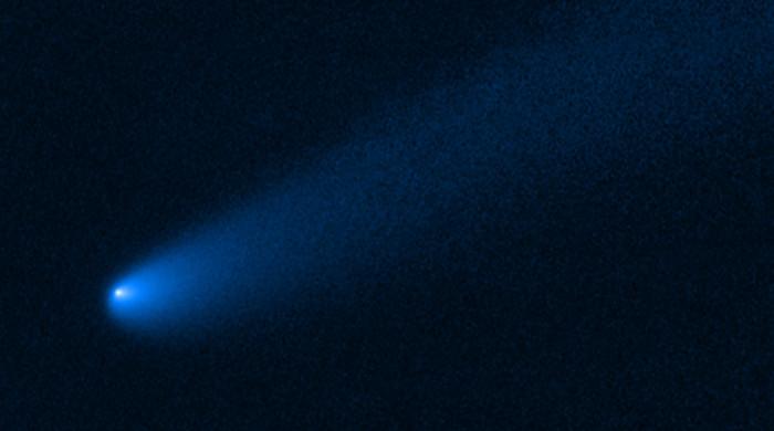 Devil comet shows up in night sky; find out where