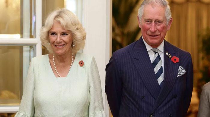 Buckingham Palace reveals Queen Consort Camilla new cypher