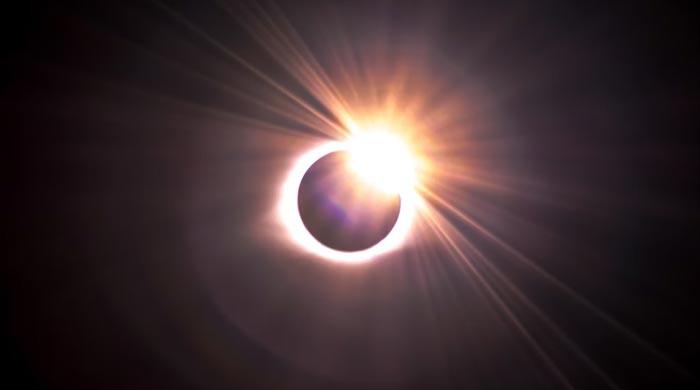 WATCH: What will happen during 2024 total solar eclipse?