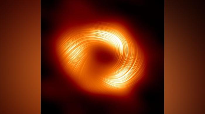 Experts reveal stunning image of black hole by Event Horizon Telescope