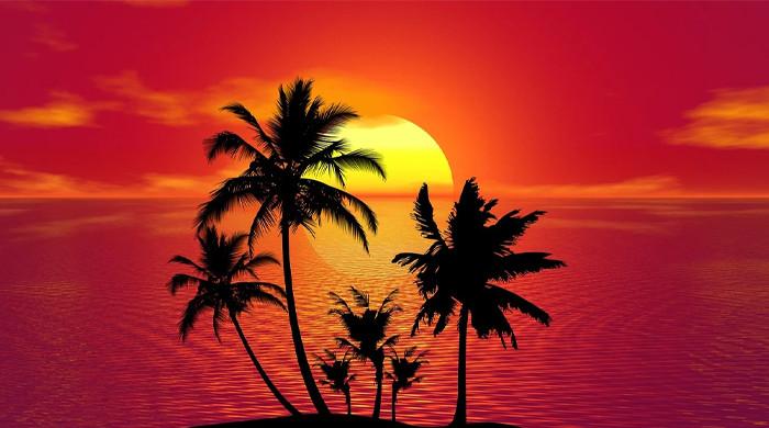 Everything you need to know about a heatstroke before summer