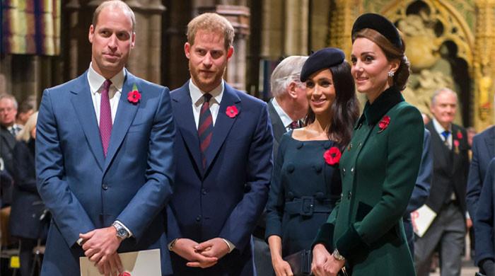 Meghan Markle snubs Kate Middleton, Prince William's olive branch: real reason disclosed