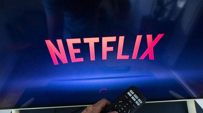 Meta, Netflix in hot water: Lawsuit alleges secret data-sharing arrangement