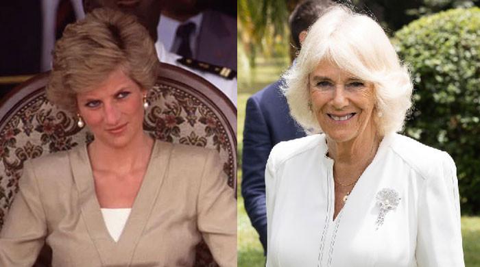 Queen Camilla's public perception shifts years after Princess Diana's death