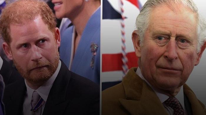 Prince Harry's vengeful vendetta for English ‘hell hole' sparks digs at ...