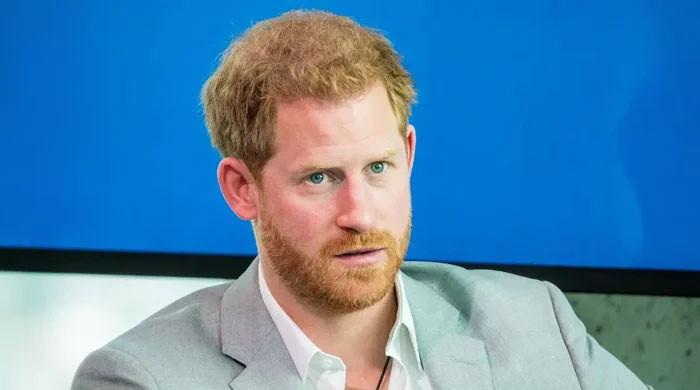 Prince Harry giving world a feast for the eyes despite ‘hating' the ...