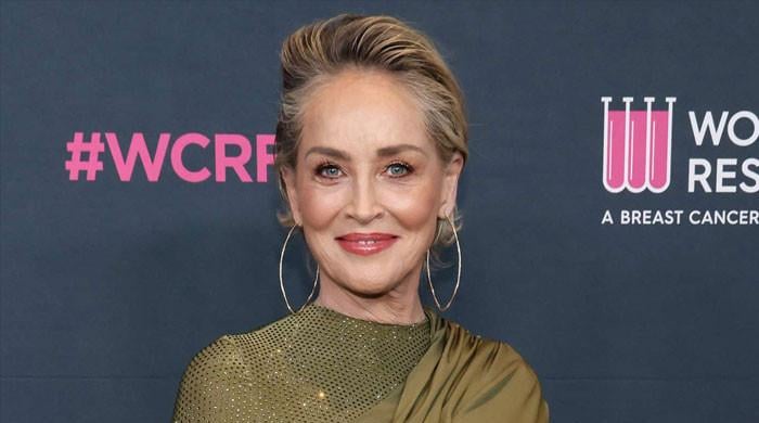 Sharon Stone voices mental health struggles, admits to confronting ‘demons'