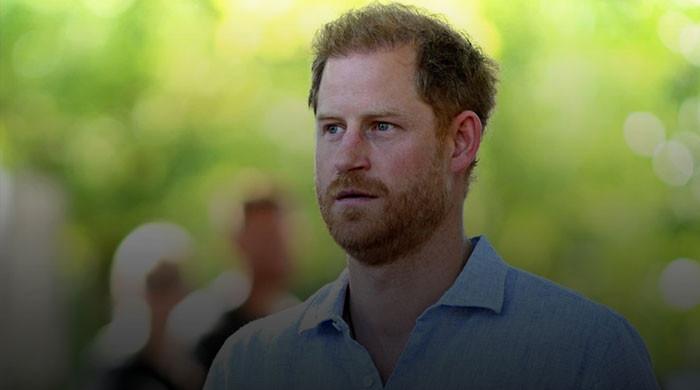 Prince Harry running a ‘pretend' Firm as it's the only thing he knows ...