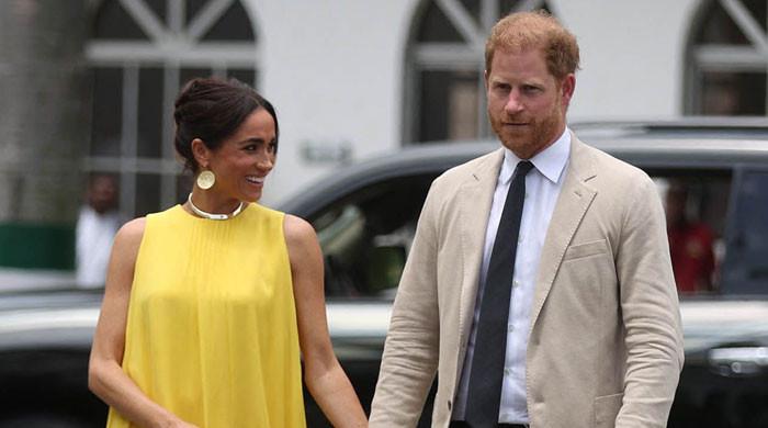 Prince Harry, Meghan Markle rebranding themselves as ‘alternative Royals'