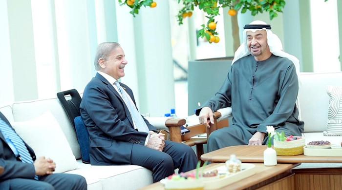 In meeting with PM Shehbaz, UAE president 'allocates' $10bn investment ...